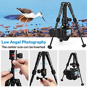 Tabletop Tripod, 20 inch Portable Desktop Mini Tripod for Camera with 360 Degree Ball Head, Aluminum Small Travel Tripod, Compatible with DSLR Camera/Video Camcorder/Cell Phone/Spotting Scope (Black)