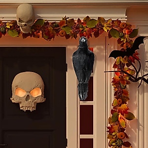 Noamus 17 Inches Realistic Hanging Dead Crow, Lifesize Extra Large Black Feathered Crow, Fake Decoy Raven for Garden Halloween Decorations Birds, Artificial Handmade, Model, Party Props