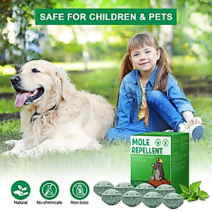 Mole Repellent - 24 Pack Groundhog Repellent Outdoor, Gopher Repellent, Vole Repellent, Mole Repellent for Outdoor Garden Yard Lawn, Mole Deterrent, Chipmunks Repellent