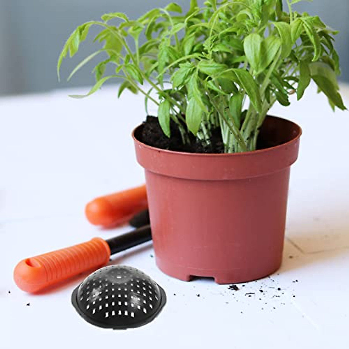 HANABASS 50pcs Plastic Flowerpot Hole Mesh Pad Bonsai Pot Bottom Grid Mat Planter Drainage Gasket Soil Loss Breathable Gasket Drainage Netting for Bonsai