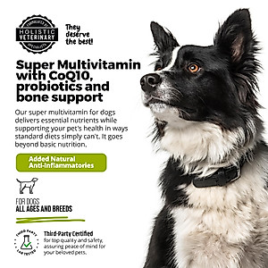 ANP Super Multi-Vitamin, Natural No Animal Proteins, 60 Soft Chews for Dog Gut Health and Immune System, CoQ10, Probiotics 5M CFUs and Glucosamine