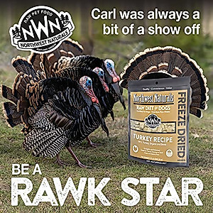 Northwest Naturals Freeze Dried Raw Diet for Dogs Freeze Dried Nuggets Dog Food – Turkey – Grain-Free, Gluten-Free Pet Food, Dog Training Treats – 12 Oz.