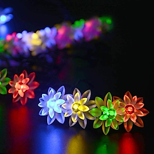 Solar String Lights Outdoor,MUEQU Waterproof 21ft 50 LED Lotus Flower Light Solar Decoration Fairy Lights for Gardens, Homes, Wedding, Christmas Party and Holiday Decoration (Multicolor)