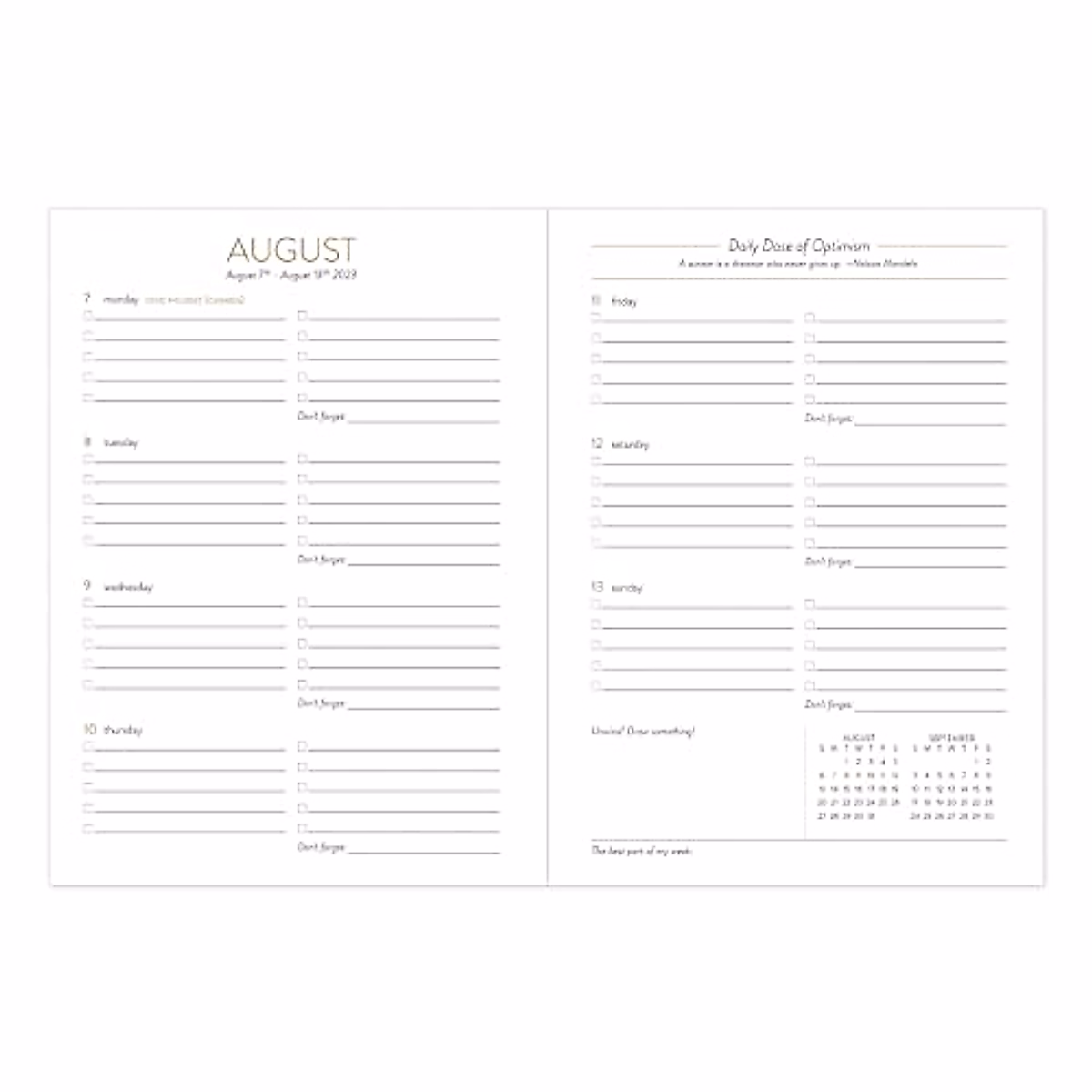 Legacy Pretty Petals Blue 8.5 x 7.25 Paper Seedlings 17 Month 2023-2024 Faith Planner