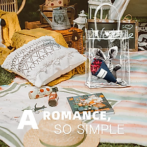 Oomcu 18 Pack Clear Plastic Gift Bags with Handle,9.06" x 6.7" x 2.76" Reusable PVC Wrap Tote Bags for Shopping Retail Goodies Business Boutique Wedding Birthday Baby Shower Party Favor halloween