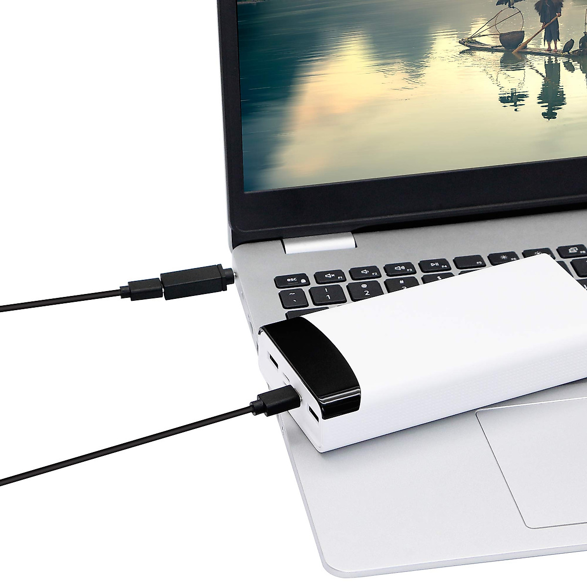 CERRXIAN 100W PD USB Type C Female Input to DC 3.5mm x 1.35mm Power Charging Adapter(100w-35135a) (Black)