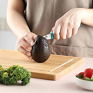 KL KALOO Paring Knife, Set of 4 Paring Knives Set With 2-Piece 4-inch Straight & Serrated Paring Knives, 3.5-inch Peeling Knife & 4.5-inch Utility Paring Knife (Green, Red, Pink and Yellow)