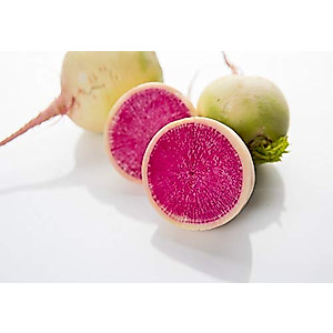 Watermelon Radish Seeds for Planting, 120+ Heirloom Seeds Per Packet, (Isla's Garden Seeds), Non GMO Seeds, Botanical Name: Raphanus sativus acanthiformis, Great Home Garden Gift