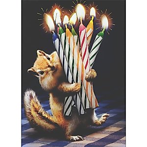 Avanti Press Chipmunk Carrying Lit Striped Candles Photograph Cute Funny/Humorous Birthday Card