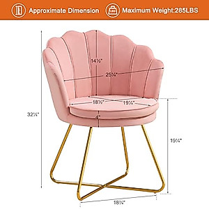 Furniliving Pink Vanity Chair, Velvet Makeup Chair for Bedroom, Home Office Desk Chair with Gold Plating Legs, Cute Accent Chair for Makeup Room, Bedroom, Living Room, Guest Reception (Velvet Pink)