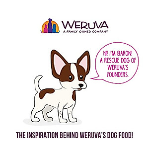 Weruva Best Fido Friend Fun Size Meals for Dogs, Fun Size Sampler Variety Pack, 2.75oz Cup (Pack of 8)