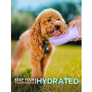 CO'ESSTRA Pet Water Bottle - Portable Dog Water Bottle Dispenser with Poop Bag - 20oz Leak Proof Dog Travel Water Bottle with Feeder - Puppy Water Bottles for Walking, Hiking, Camping