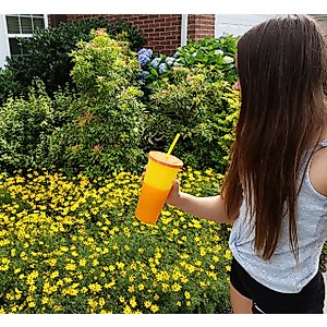 Essential Drinkware 24oz Instant Color Changing Cups Set of 4 Reusable Plastic Tumblers with Screw on Lids and Color Straws
