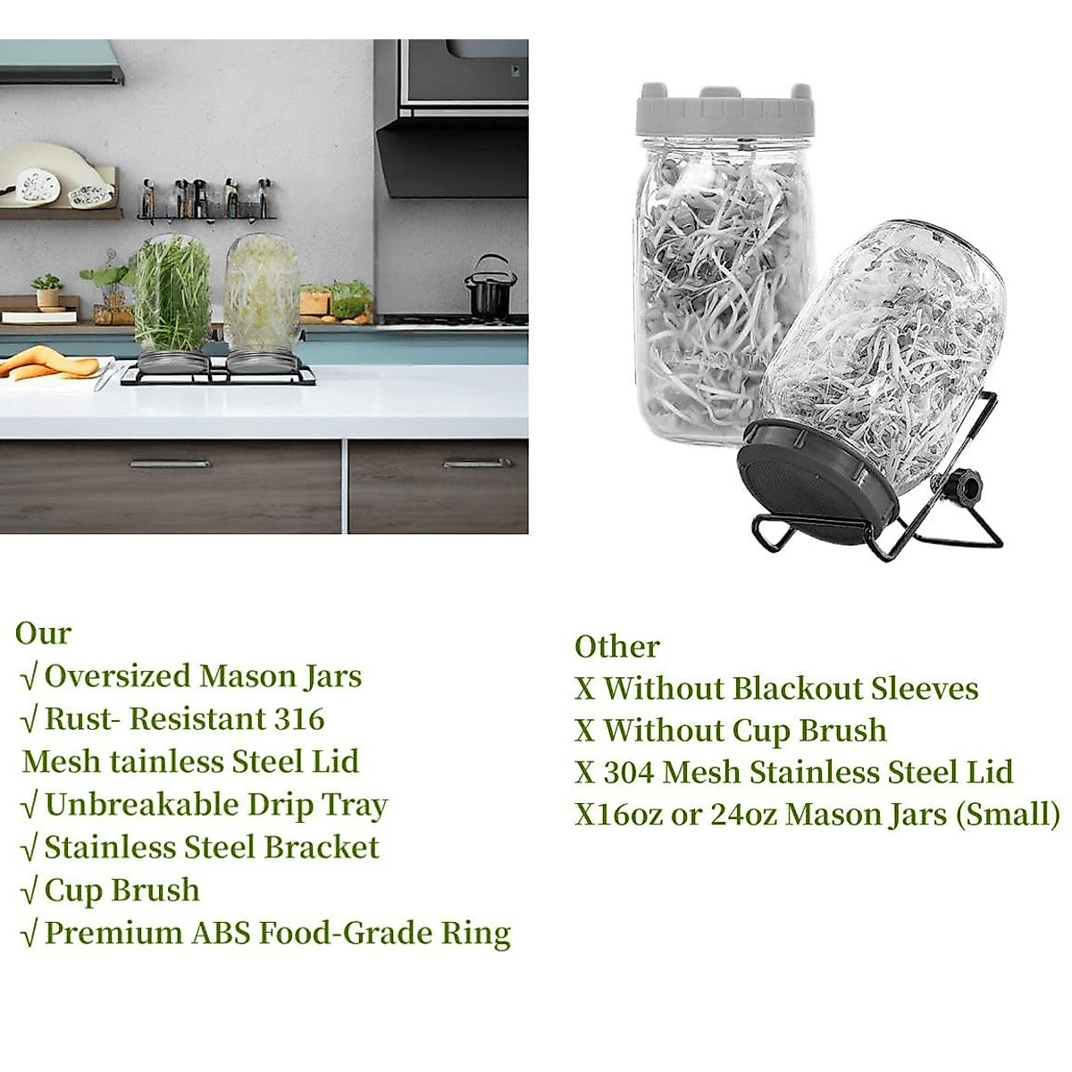 Lulonpon 2 Sprouting Jar Kit, Wide Mouth Quart Mason Jars with Stainless Steel Screen Sprout Lids, 86mm,1000ml,Stand,Tray and Canning Brush,Seed Sprouter Set for Growing Broccoli, Alfalfa, Mung Bean