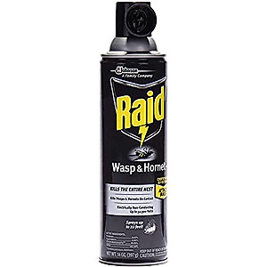 Raid Wasp Hornet Killer Spray (14 Ounce (Pack of 1)