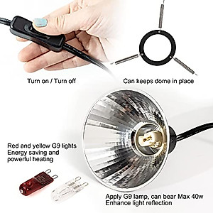 Protover Reptile Lamp Fixture 4 Inches Cap Lamp Fixure, Wider Irradation Range with Hanging Hook & Spring Clip, Halogen Mini Dome Lamp for Reptiles Terrarium and Aquarium