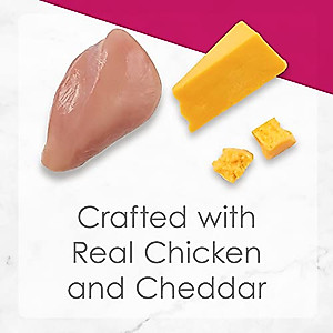 Fancy Feast Purina Delights with Cheddar Grilled Chicken & Cheddar Cheese Feast in Gravy (12-CANS) (3 OZ Each)