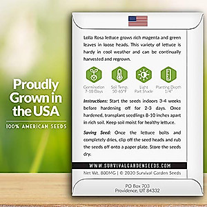 Survival Garden Seeds - Lolla Rosa Lettuce Seed for Planting - Packet with Instructions to Plant and Grow Red and Green Leaved Lettuce in Your Home Vegetable Garden - Non-GMO Heirloom Variety