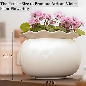African Violet Pots 6 Inches Ceramic, Effortless Self Watering Pots for Indoor Plants for Busy Plant Lovers, Easy Plant Self Watering Pot, Plant Pots, Flower Pot, Plant pots Indoor