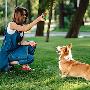 GUGUMAO Dog Toys,Interactive Dog Toys for Boredom Teething Toys for Aggressive Chewers Durable Indestructible Chew Toys for Small/Medium/Large Breeds Snowflake Bone Pattern (Green, Bone)