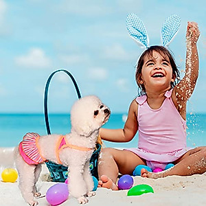 TONY HOBY Dog Swimsuit, Dog Bikini Swimming Dress, Dog Beach Dress in Seaside, Pool, Dog Bathing Suit for Small Medium Dog (3PCS, Orange, L)