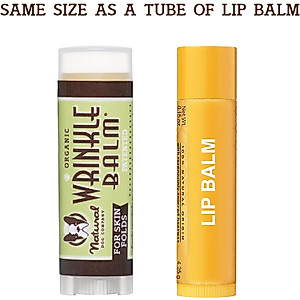 Natural Dog Company Wrinkle Balm, Travel Stick, 0.15 oz, Dog Lotion for Dry Itchy Skin, Cleans Wrinkles, Yeast Infection Treatment for Dogs, Plant Based, Frenchie Dog Accessories, Made in USA