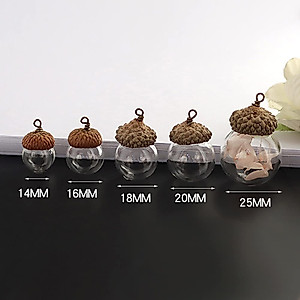 6PCS DIY Glass Vial With Acorn Caps Wishing Bottles Pendants Jewelry Accessory (P-20MM Ball-Acron Cap)