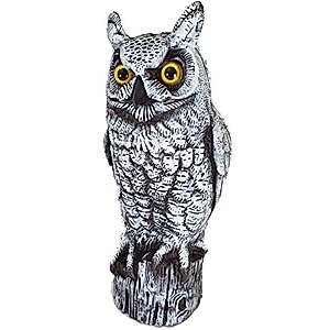 Dalen Fake Owl Decoy to Scare Birds Away from Gardens, Rooftops, and Patios - Scarecrow Provides Chemical-Free Pest Control - Safe and Humane, 16" Great Horned Owl - Snow White