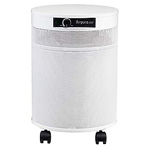AIRPURA C600DLX AIR PURIFIER HELPS TO ELEMINATE SPECIFIC AIRBORNE PARTICLES INCLUDING VOLATILE ORGANIC COMPOUNDS,IMPROVE AIR QUALITY