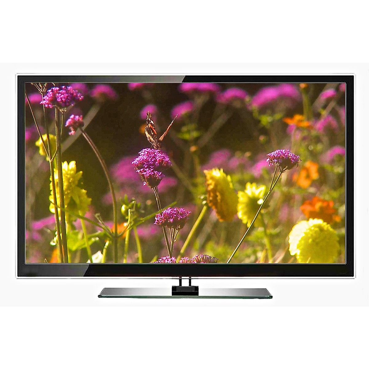 Relaxing Music Nature DVD - Seasons: Spring & Summer