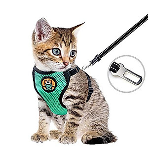 AWOOF Reflective Kitten Harness and Leash Escape Proof with Car Seat Belt, Adjustable Cat Puppy Walking Jacket with Metal Leash Ring, Soft Breathable Small Pet Vest (S)