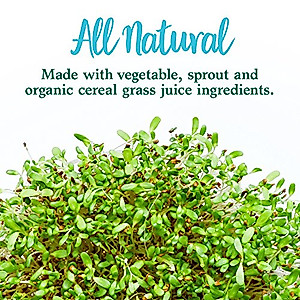 Garden of Life Whole Perfect Green Superfood Vegetable Dietary Powder Supplement, 600 g