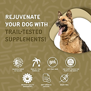 waggedy Daily Essentials Adult Soft Chews — Dog Multivitamin & Immune System Supporter — Dog Nutritional Supplement — Small/Large Dog Supplements & Vitamins (60 Chews)