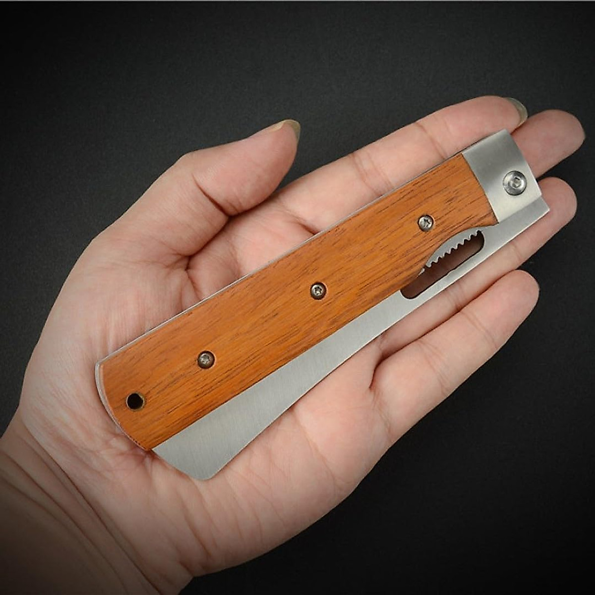 Lifespace 440A Stainless Steel Folding Japanese Chef Knife - Fantastic outdoor knife