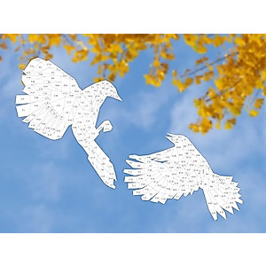 Paint by Sticker: Birds: Create 12 Stunning Images One Sticker at a Time!