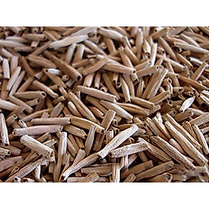 Desert Rose ADENIUM OBESUM Double Petal Flower - 100 Seeds - Beautiful and Rare!