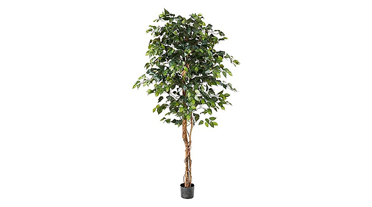 Lifelike 6ft Nearly Natural Ficus Tree for Home & Office