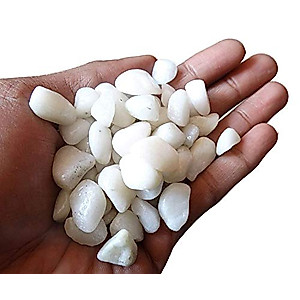 VANNEF Stone Decorative Aquarium and Vase Fillers Pebbles for Garden and Home Decor (White, 4kg)