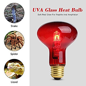 FIVEAGE 75W Red Heat Light Reptile Heat Lamp Infrared Bulb UVA Basking Spot Bulb for Reptile and Amphibian Use - Bearded Dragons Lizard Tortoise Snake Chameleon 2 Pack