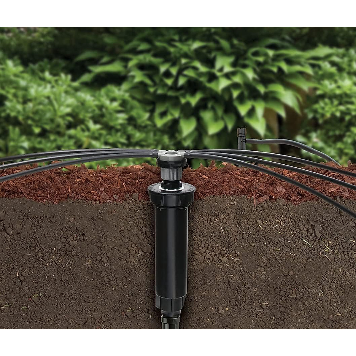 Rain Bird CNV182MBS Drip Irrigation Sprinkler Conversion Kit, 1800 Pop-Up to 6 Drip Micro Bubblers with 1/4" Tubing