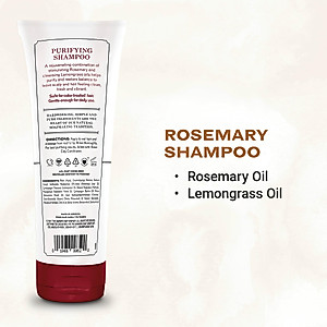 The Grandpa Soap Company Shampoo - Purifying With Rosemary and Lemongrass Oils, Leaves Scalp and Hair Feeling Clean and Fresh, All Hair Types, Vegan, Sulfates and Parabens Free, 8 Fl Oz