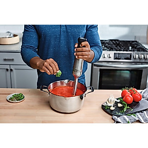 Vitamix Immersion Blender, Stainless Steel, 18 inches