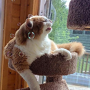 Pet Qwerks Incredibubbles Interactive Cat Toys - Long Lasting Edible Bubbles for Cats - Catnip Flavor - 20 ML