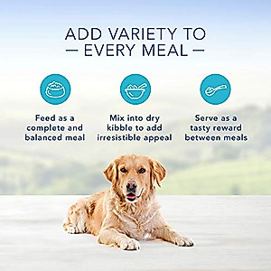 Blue Buffalo Blue's Stew Natural Adult Wet Dog Food, Beef Stew 12.5-oz can (Pack of 12)