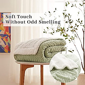 SunStyle Home Sherpa Fleece Blanket Full Sage Green Soft Cozy Plush Fluffy Flannel Thick Blanket Leaf Jacquard Luxury Winter Warm Reversible Blankets for Couch, Sofa, Bed 60X80
