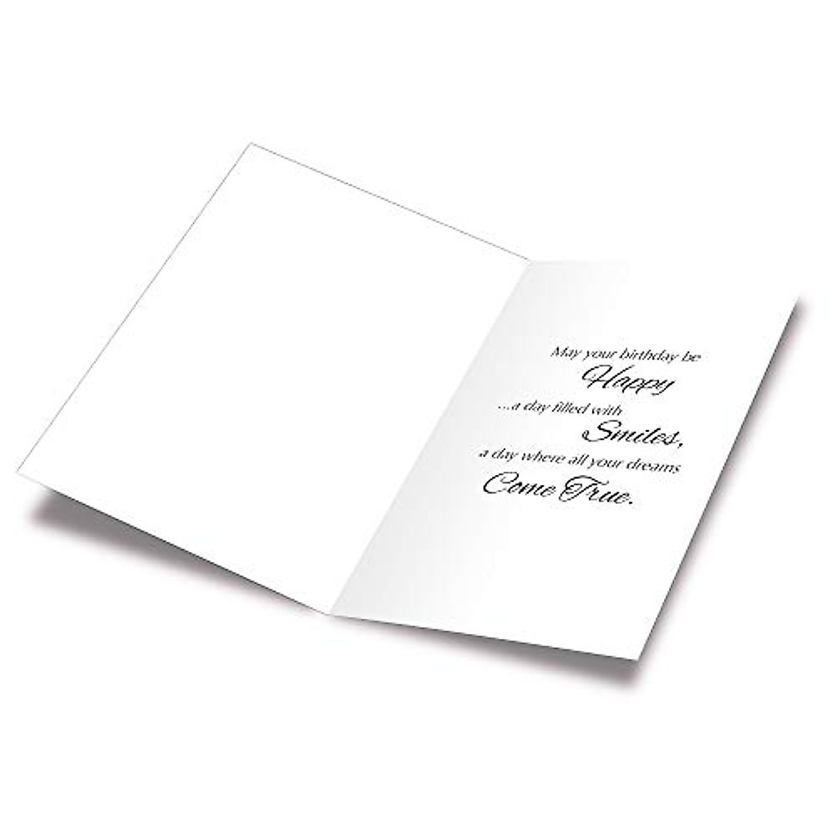 Birthday Card Sister-In-Law | Made in America | Eco-Friendly | Thick Card Stock with Premium Envelope 5in x 7.75in | Packaged in Protective Mailer | Prime Greetings