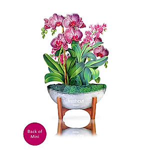 Freshcut Paper Pop Up Cards, 6 Inch Mini Sized Forever Flower Bouquet 3D Popup Greeting Cards, Birthday Gift Cards, Birthday Gifts with Note Card and Envelope, Mini Orchid Oasis