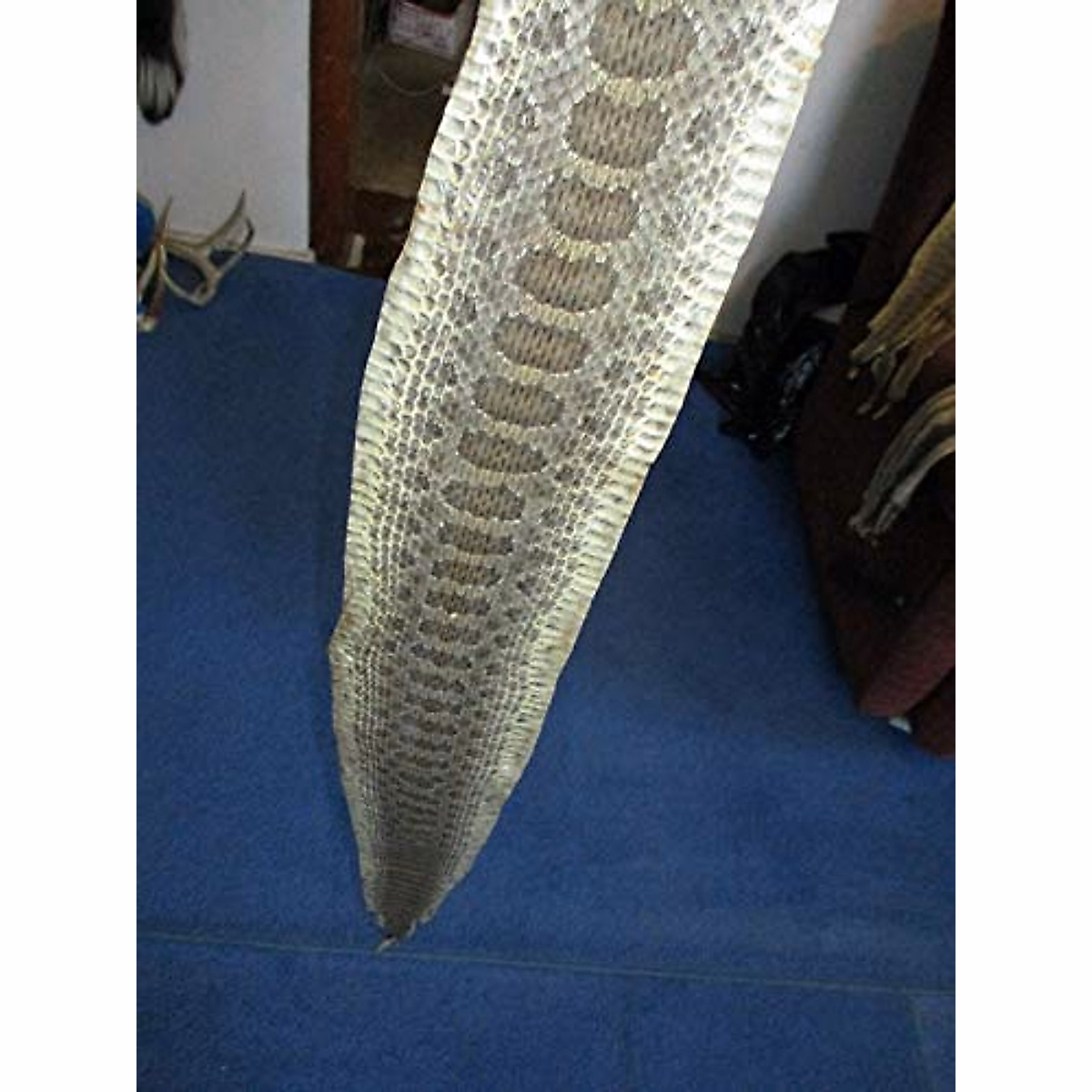 Rattlesnake Skin Prairie Rattler Hide Dry Tanned Bow Wrap Pen Blanks 44"