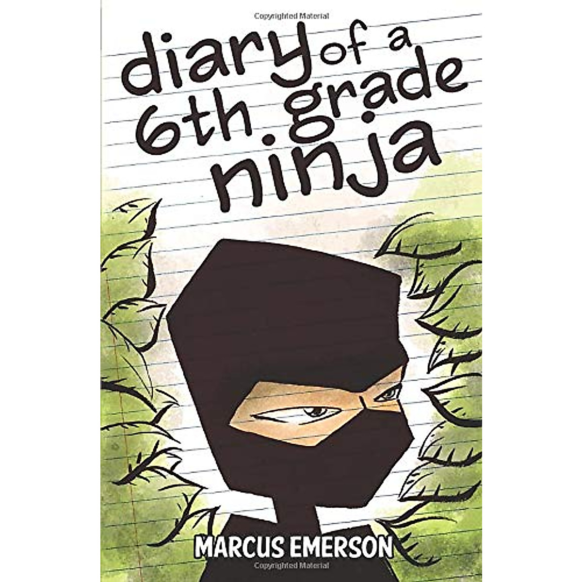 Diary of a 6th Grade Ninja