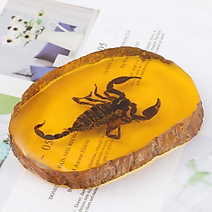 Garneck Amber Fossil Insect,Artificial Amber Insect Specimen Pendant Butterfly Scorpions Insects Amber Stone Ornament for Collection(Scorpion)